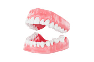 What Are The Realest Looking Dentures?